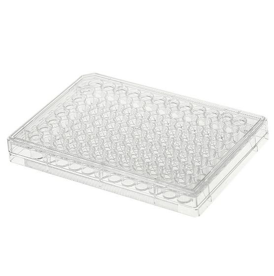 Individually plastic wrapped